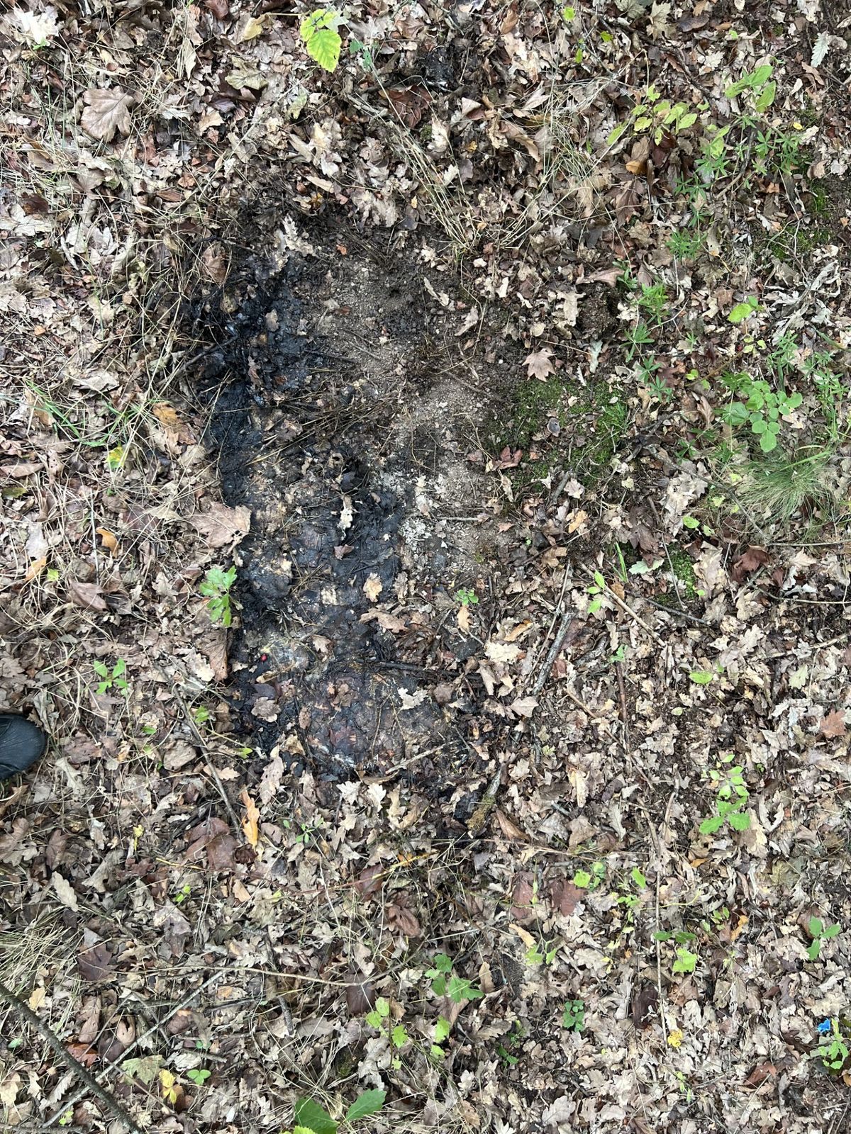 Búcsú Kaszás Nikolettől: "Angyalok őrizzék az álmod!"